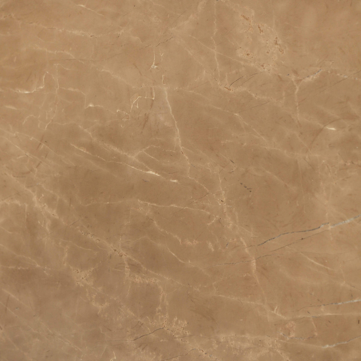 Truffle – Elegant Marbles & Grani Industries Ltd.